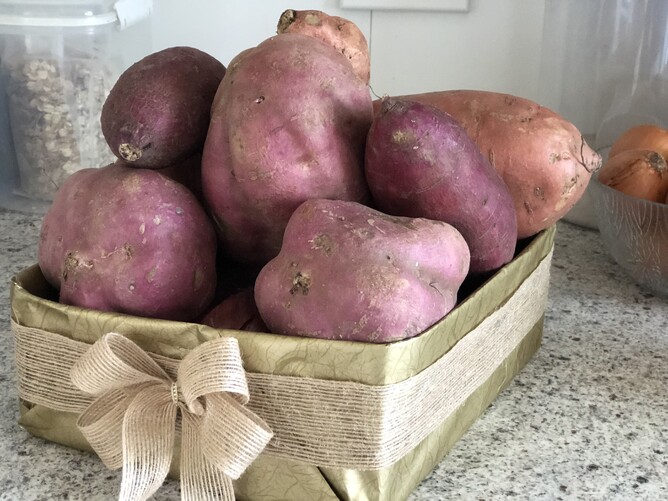 18 must try New Zealand food experiences | Nature & Nosh