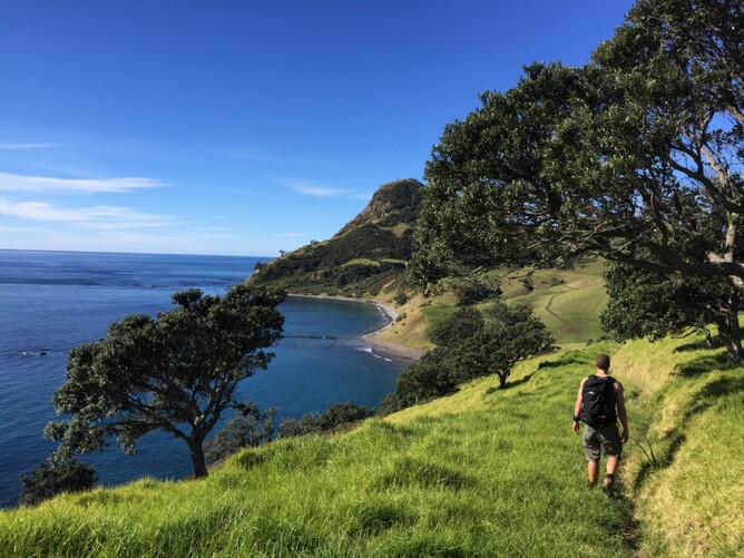 Everything you need to know about summer hiking in New Zealand | Nature ...