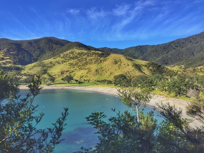 Everything you need to know about summer hiking in New Zealand | Nature ...